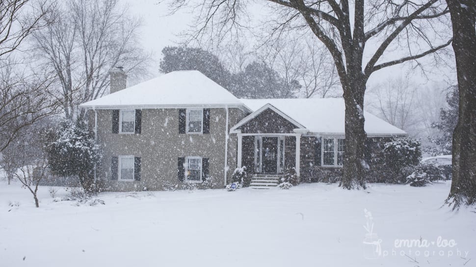 Snow Day 2014 - Emma Loo Photography